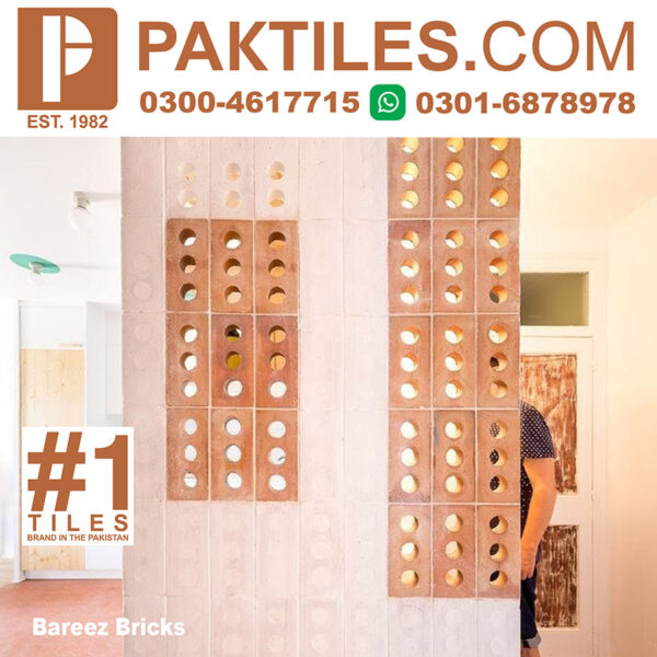 Hollow Bricks Tiles – Pak Clay Tiles